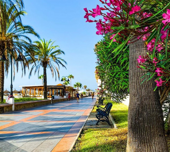 Área Paseo Marítimo | Web Oficial de Turismo de Torremolinos